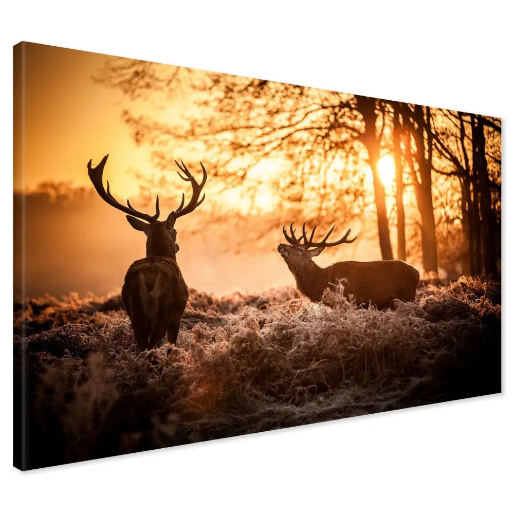 Bilde på lerret Hjort Hjorter Skog 120x80 - Nomax.no